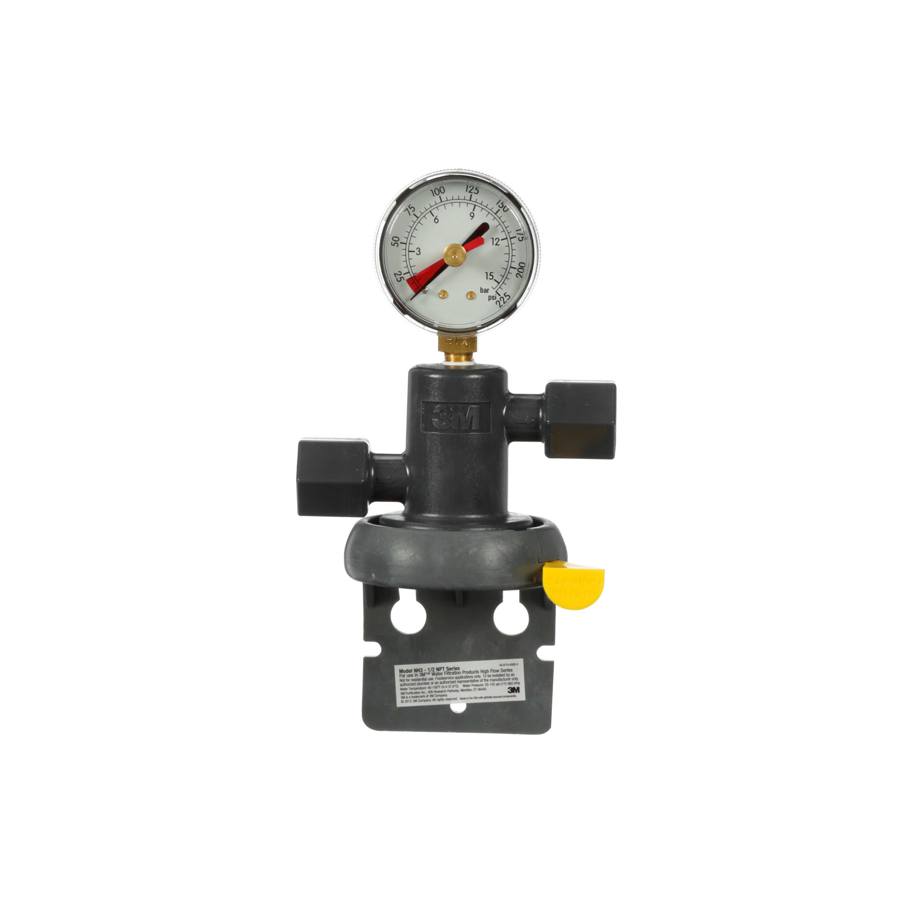 NPT NH3 1/2" W/Gauge